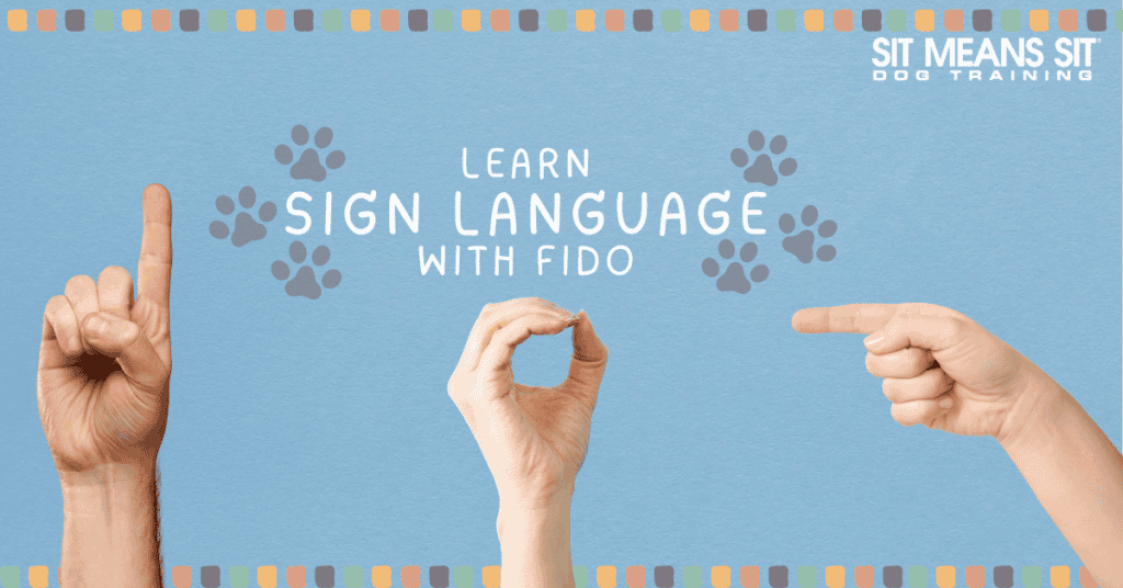 Learn Sign Language with Fido | SMS Frederick